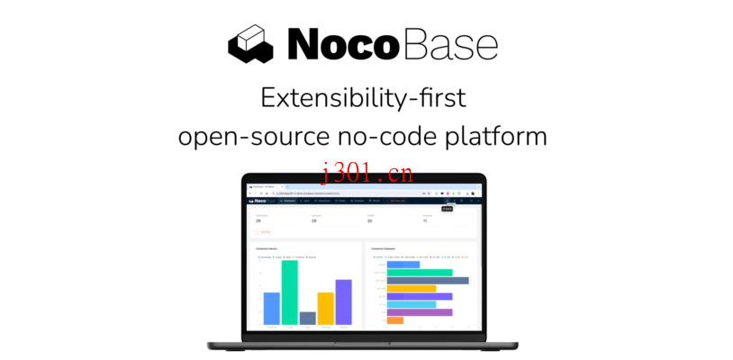 NocoBase：打造可扩展的私有无代码开发平台 - 笨鸟编程导航